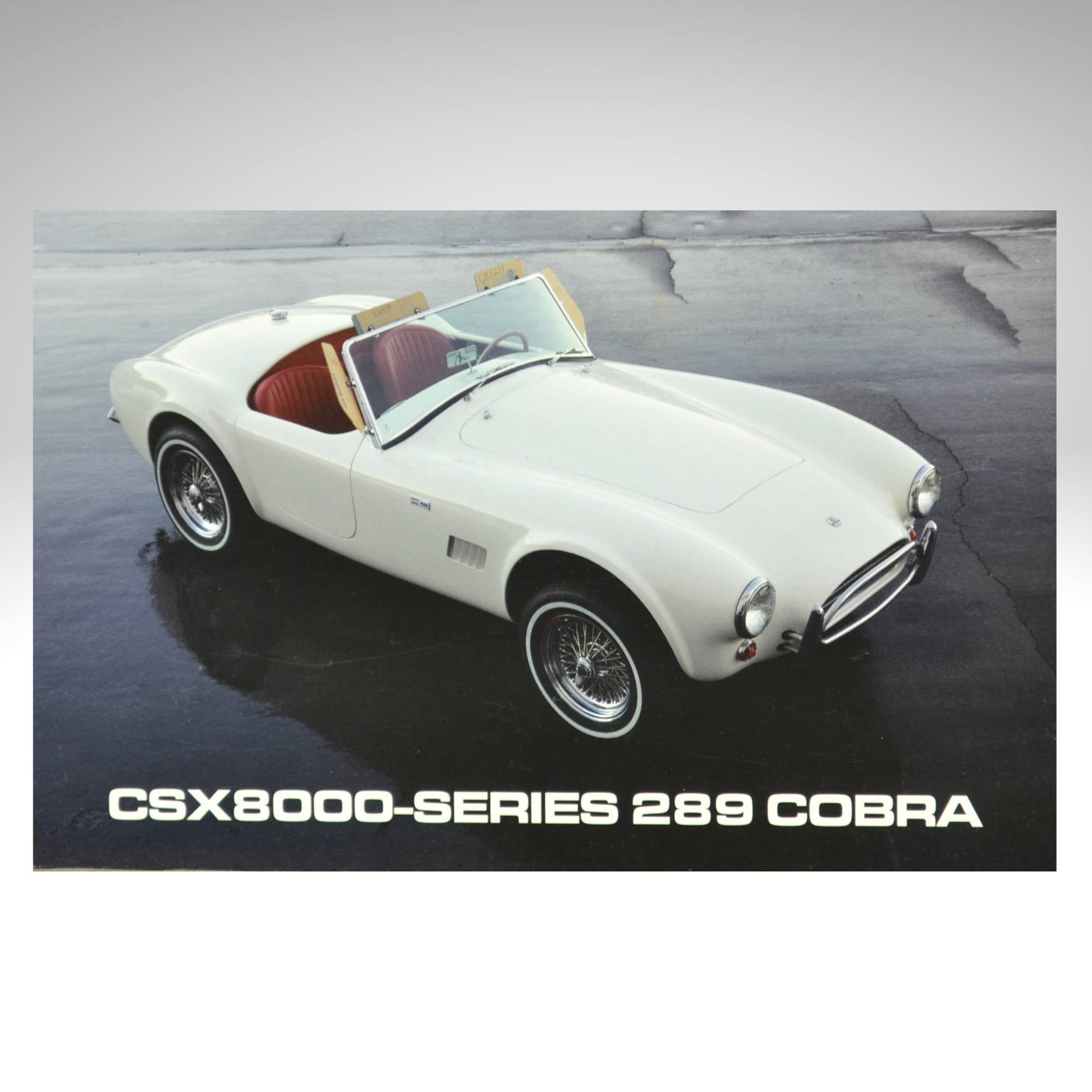 Ford Wall Art – Vintage Shelby Prints & Dealer Brochures – Vintage Art ...